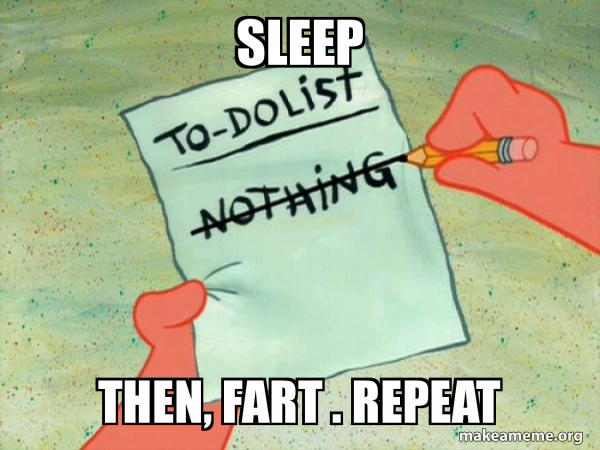 Sleep Then, fart . Repeat - TO-DO List Meme Generator