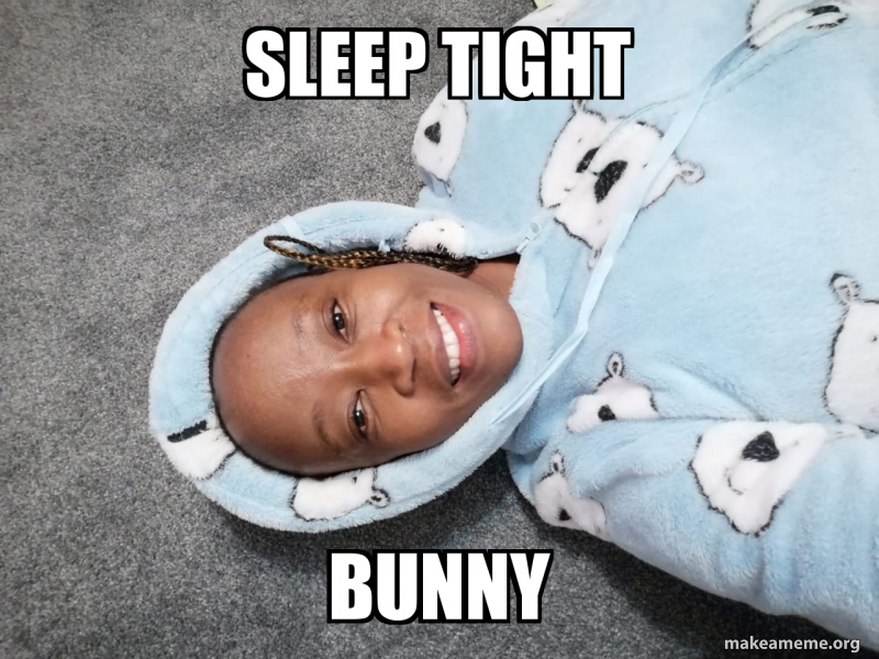 Sleep tight Bunny Meme Generator