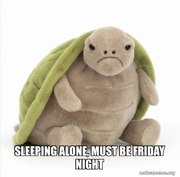 Sleeping alone, must be Friday night Meme Generator