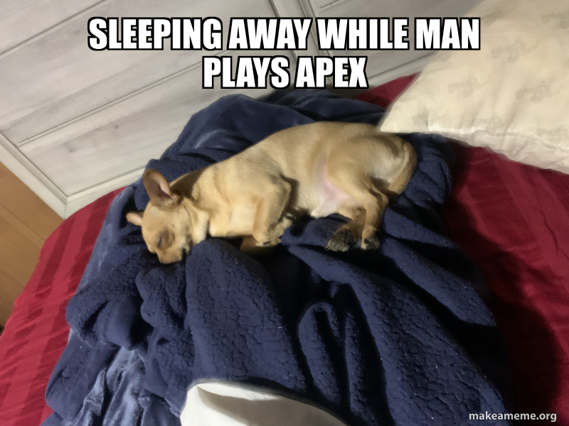 Sleeping away while man plays apex - Me passing out at 3 in the morning ...