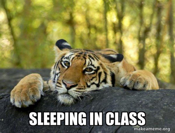 Sleeping in class - Confession Tiger Meme Generator