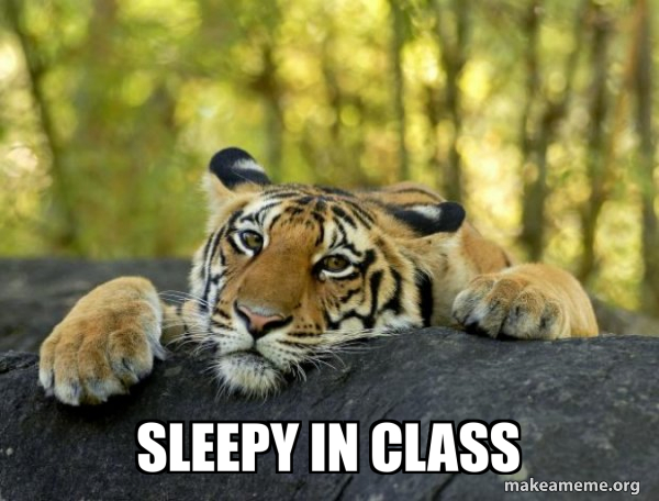 Sleepy in class - Confession Tiger Meme Generator