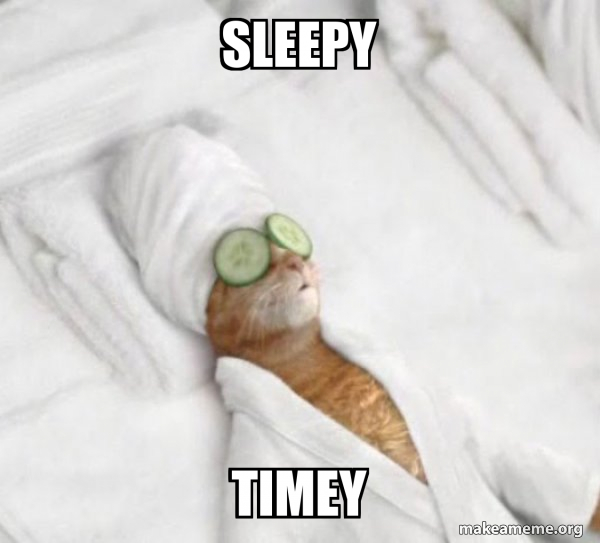 Sleepy Timey - Pampered Cat Meme Meme Generator