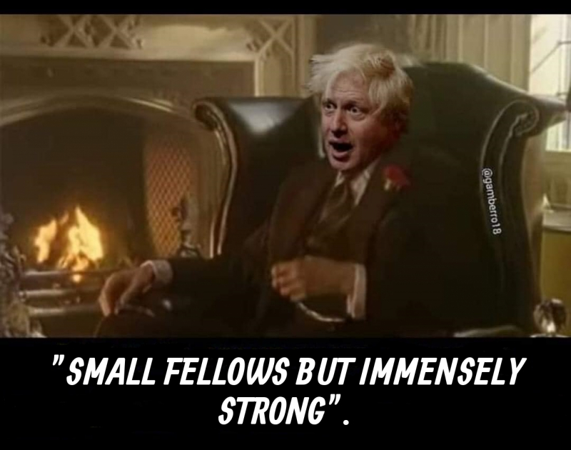 "Small fellows but immensely strong". Meme Generator