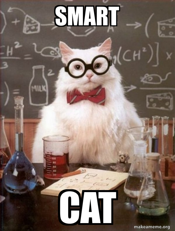 SMART CAT - Chemistry Cat Meme Generator
