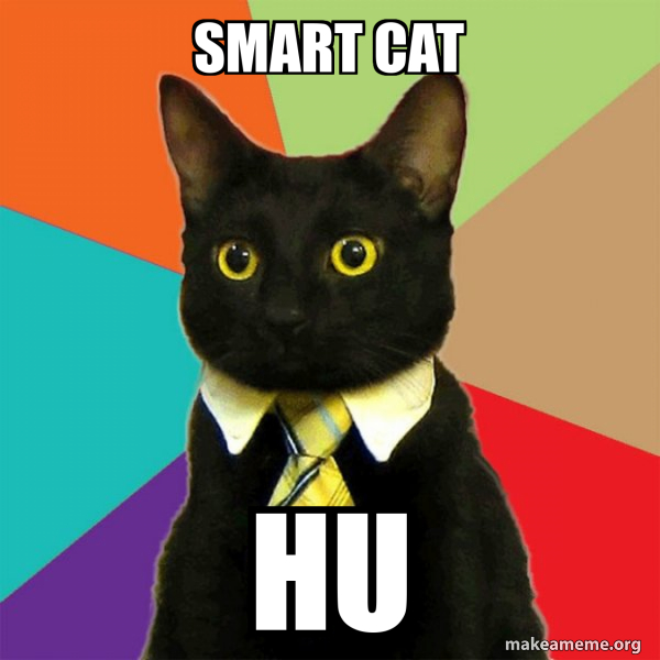 smart cat hu - Business Cat Meme Generator
