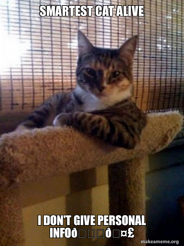 Smartest cat alive I don't give personal infoðŸ˜‰ðŸ¤£ - The Most ...