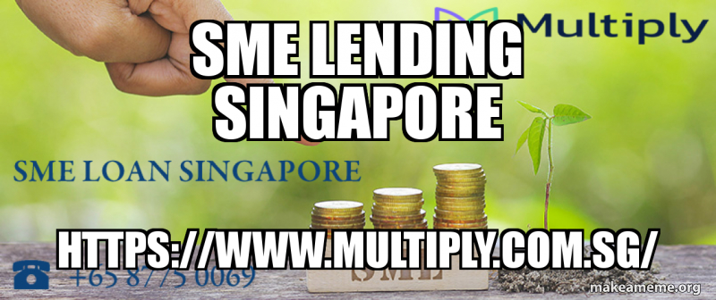 SME lending Singapore https://www.multiply.com.sg/ - SME lending ...