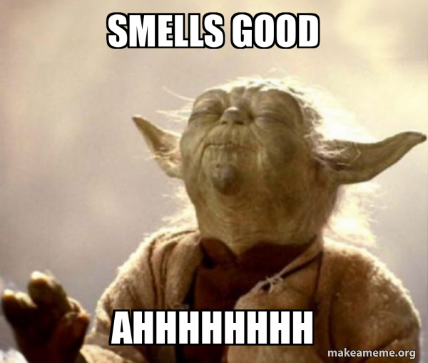 Good Smell Memes You Smell Good Dog Nose Funny : Humorous Cute