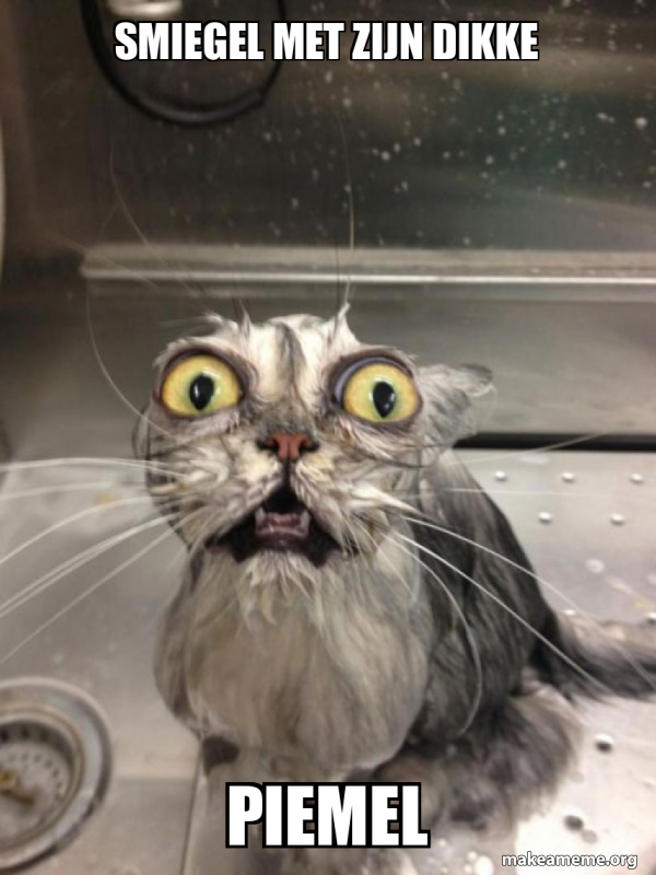 Smiegel met zijn dikke PIEMEL - Cat bath Meme Generator