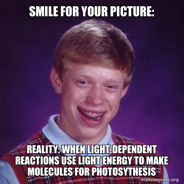 Smile for your picture: Reality: when light-dependent reactions use ...