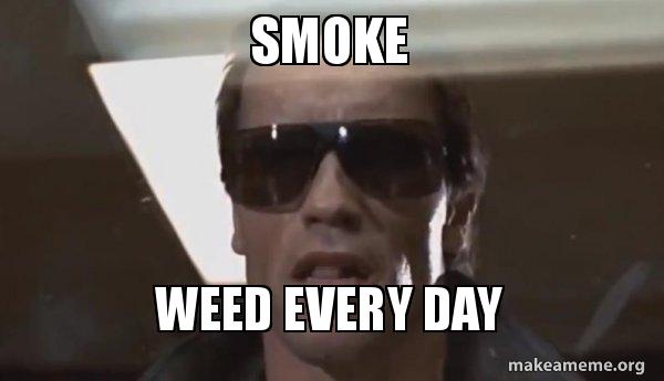 smoke weed every day - The Terminator Meme Generator