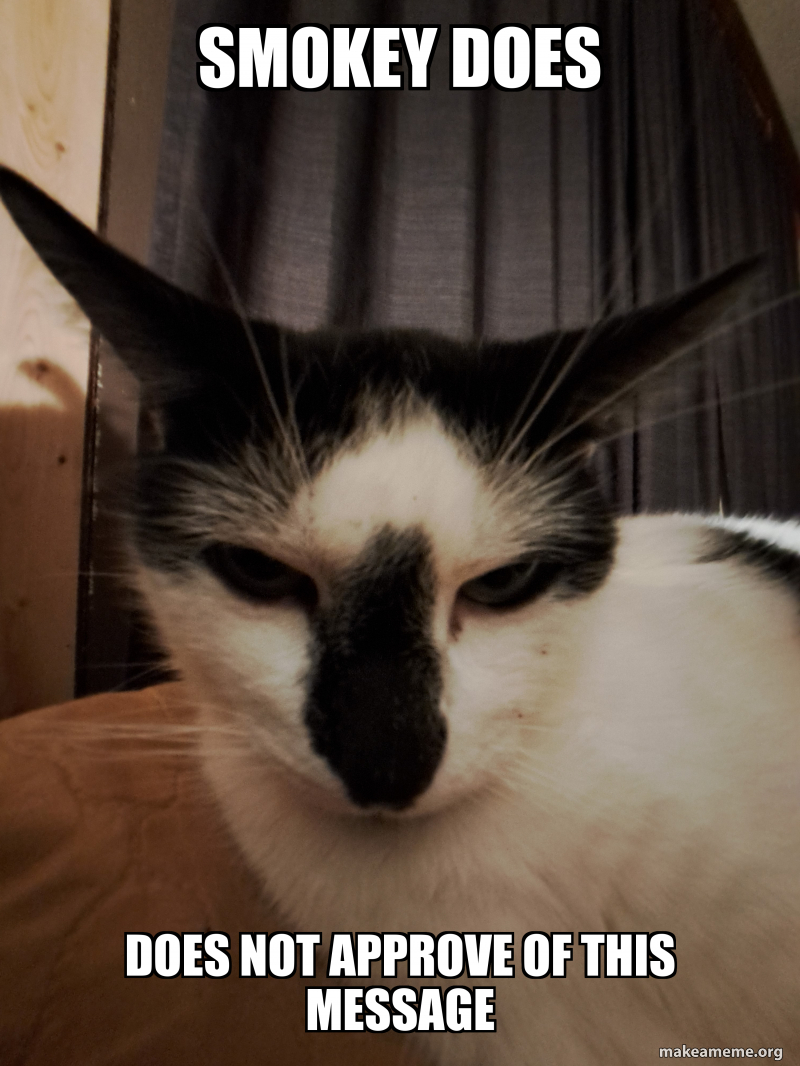 Smokey does Does not approve of this message Meme Generator