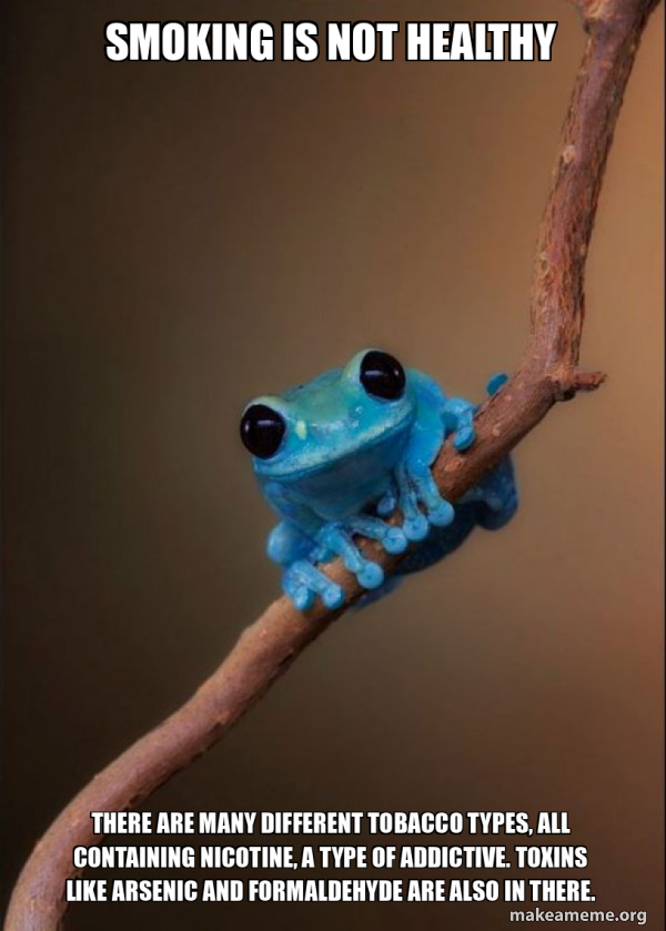 Smoking is NOT healthy There are many different tobacco types, all ...