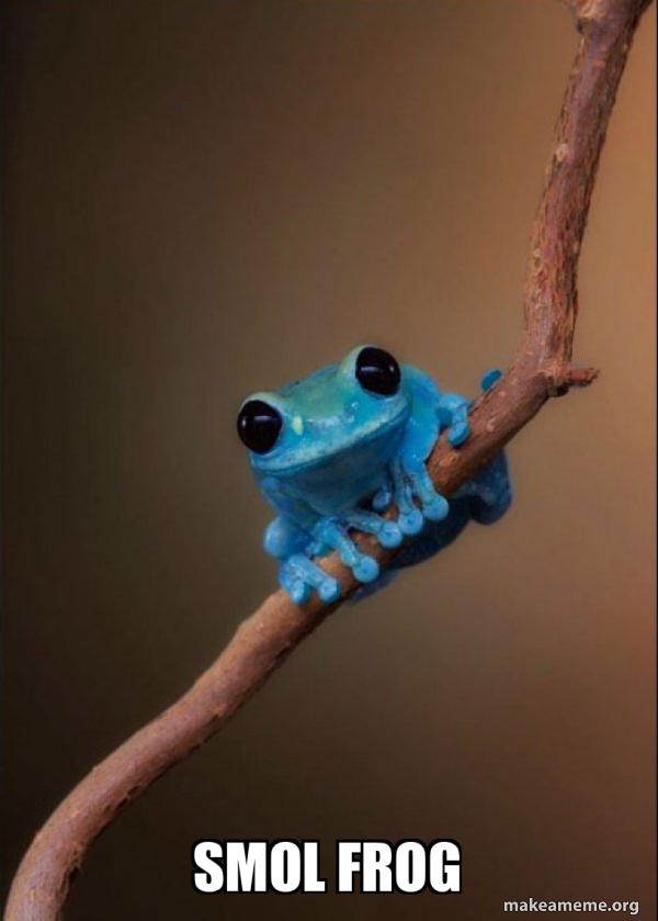 Smol frog - Small Fact Frog Meme Generator