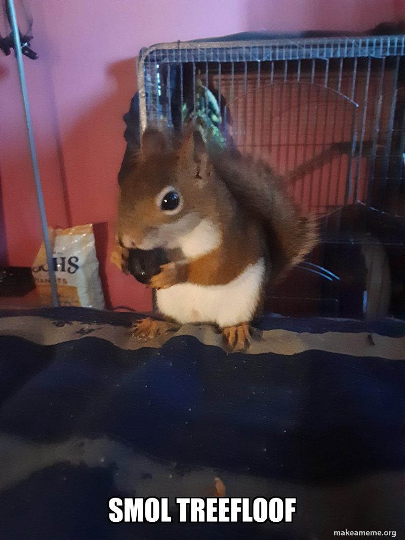 Smol Treefloof Meme Generator