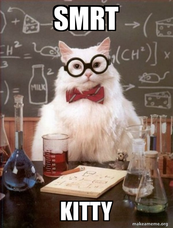 smrt kitty - Chemistry Cat Meme Generator