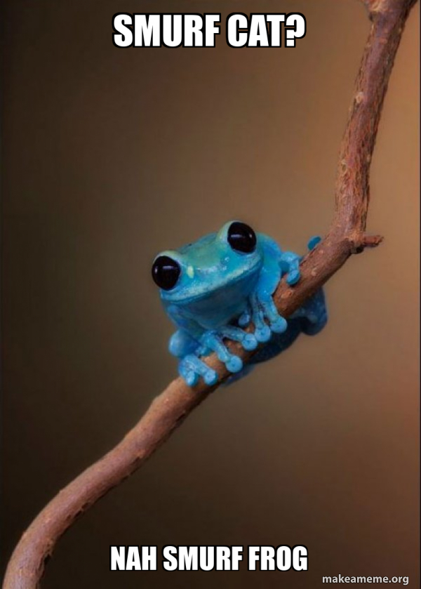 Smurf cat? Nah smurf frog - Small Fact Frog Meme Generator