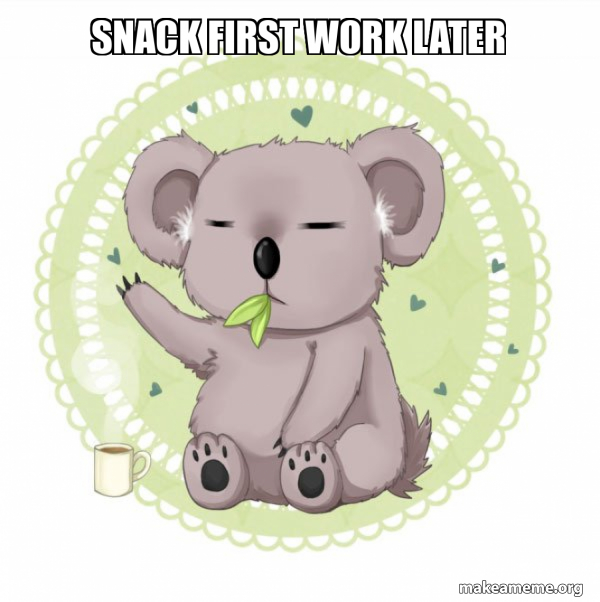 snack first work later - Aussie Koala doing the night shift Meme Generator