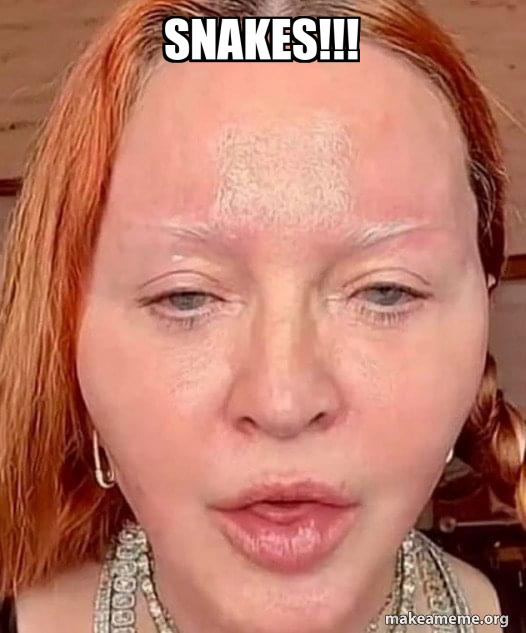 Snakes!!! Meme Generator
