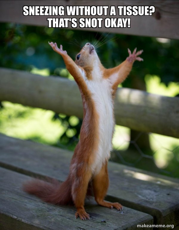 Sneezing Without a Tissue? That's Snot Okay! - Happy Squirrel Meme ...