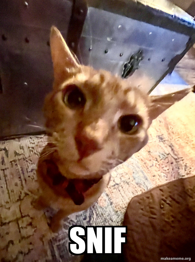 Snif Meme Generator