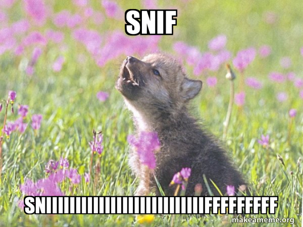 snif sniiiiiiiiiiiiiiiiiiiiiiiiiiifffffffff - Baby Insanity Wolf Meme ...