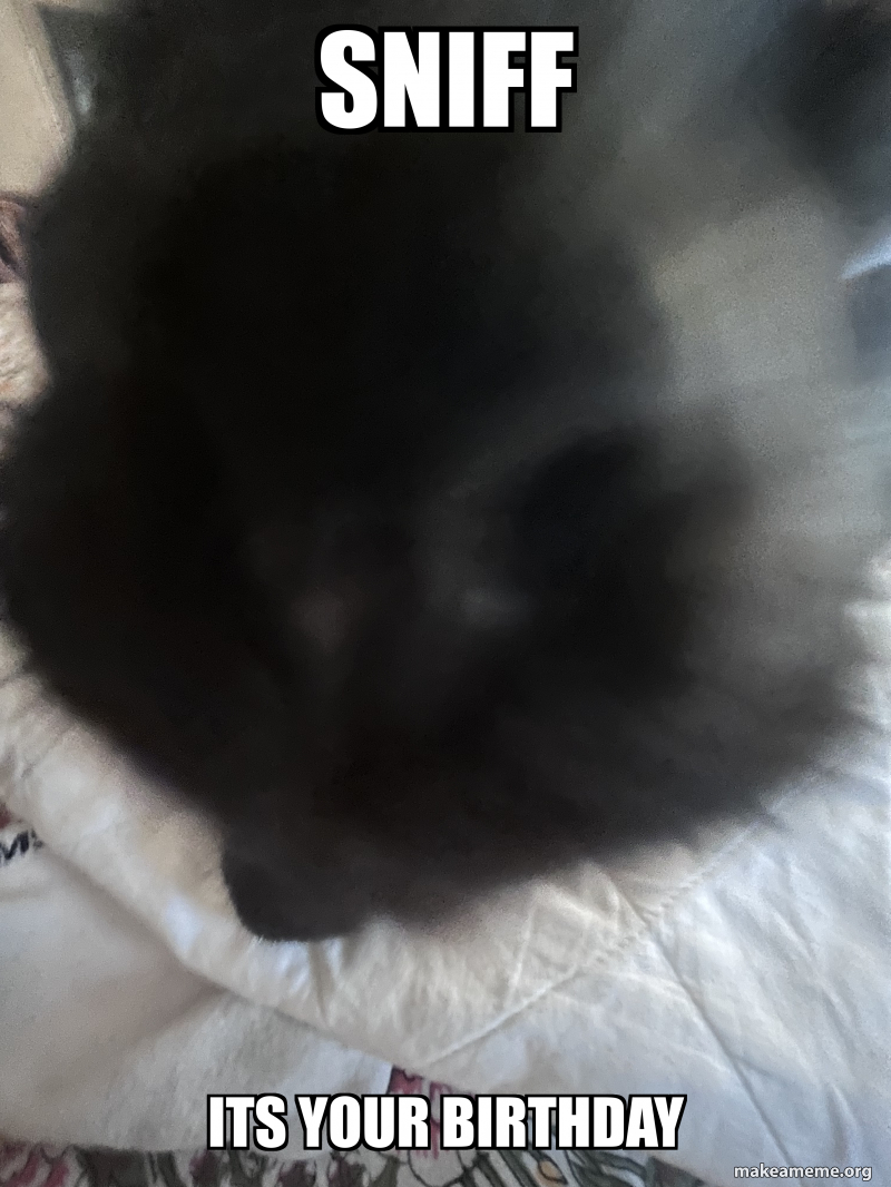 SNIFF Its your birthday Meme Generator