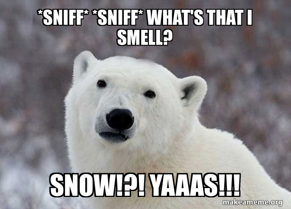 *Sniff* *Sniff* What's that I smell? SNOW!?! YAAAS!!! - Popular Opinion ...