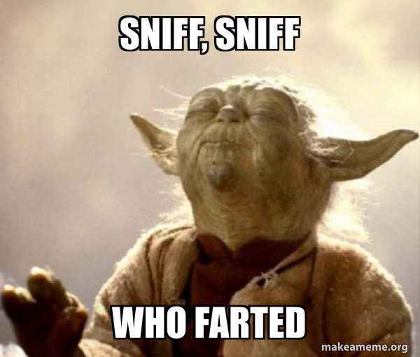 sniff, sniff who farted - Yoda Smell Meme Generator