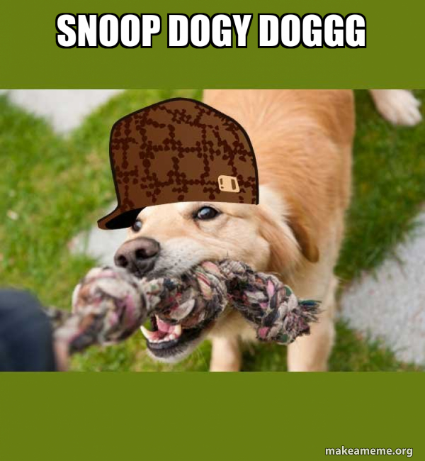 snoop dogy doggg - Scumbag dog | Make a Meme
