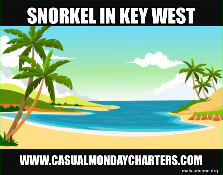 SNORKEL IN KEY WEST WWW.CASUALMONDAYCHARTERS.COM - SNORKEL IN KEY WEST ...
