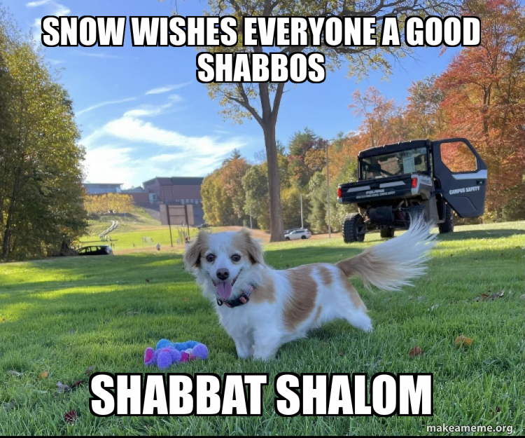 Snow wishes everyone a good shabbos Shabbat shalom Meme Generator