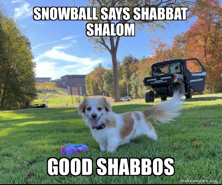 Snowball says Shabbat shalom Good shabbos Meme Generator