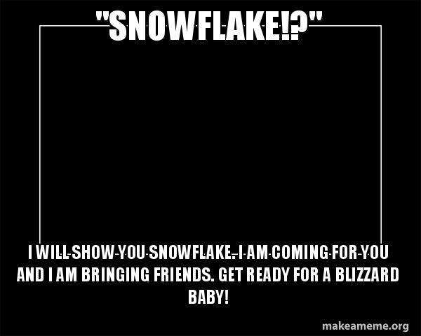 Memes About Snowflakes