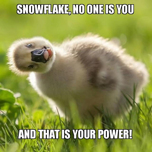 Snowflake, no one is you and that is your power! Meme Generator