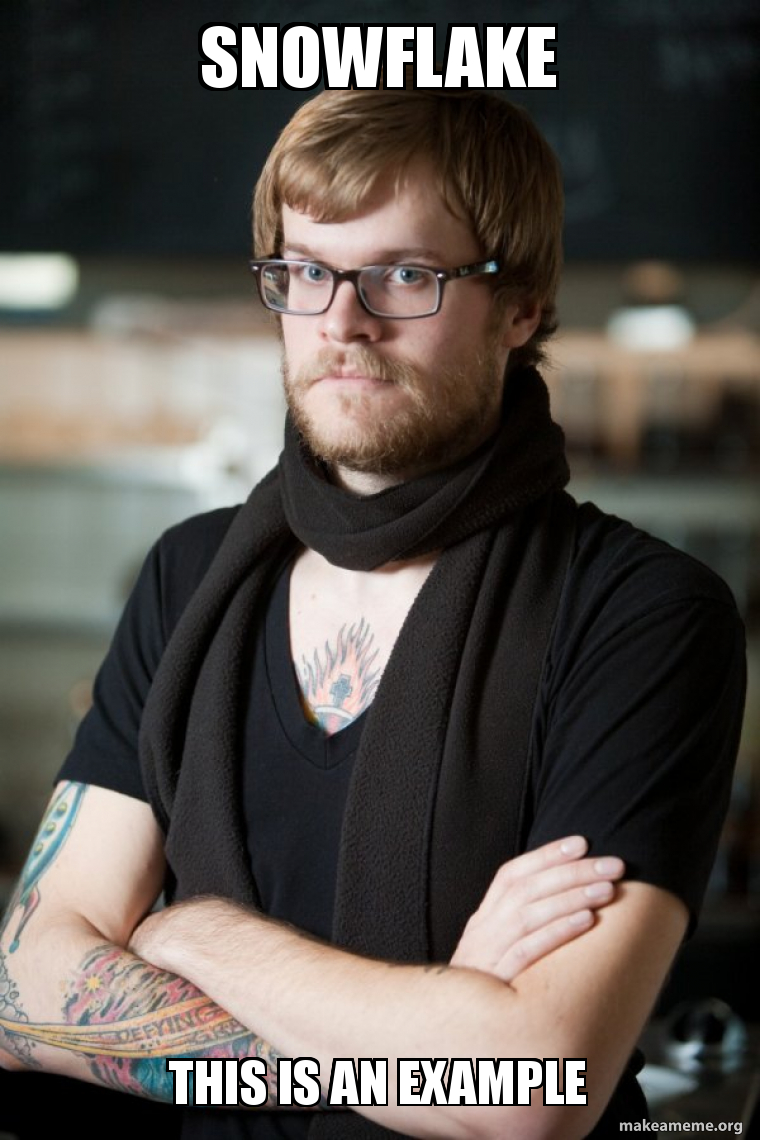 Snowflake this is an example - Hipster Barista Meme Generator