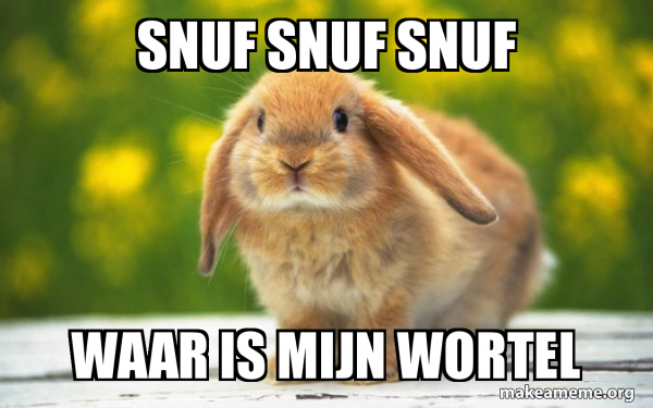 snuf snuf snuf waar is mijn wortel - Regretful Rabbit Meme Generator