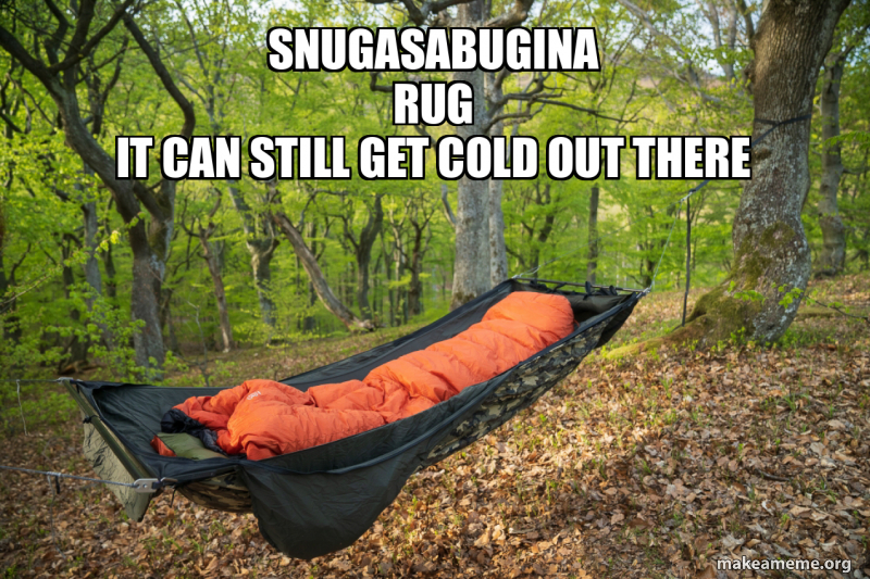 Snugasabugina rug It can still get cold out there Meme Generator
