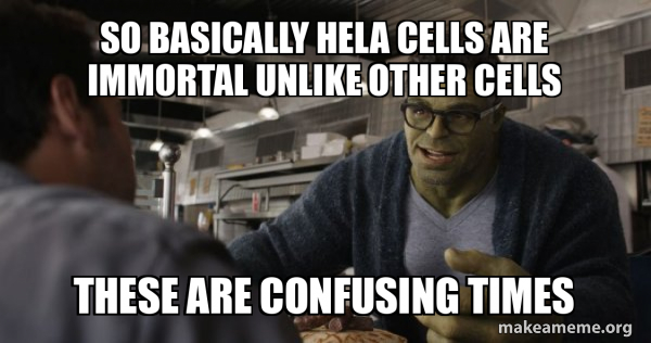So Basically HeLa cells are immortal unlike other cells These are ...