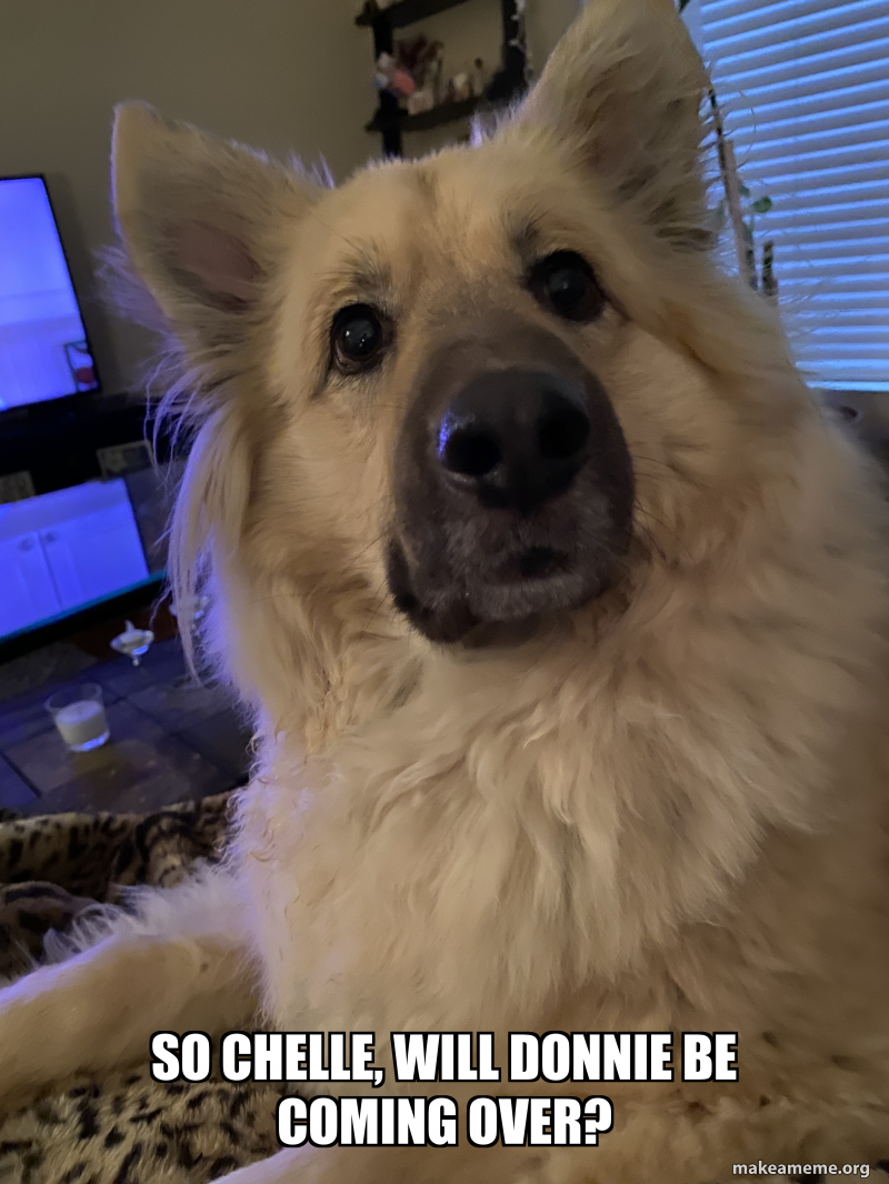 So Chelle, will Donnie be coming over? Meme Generator