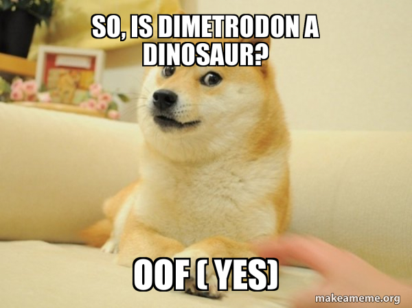 So, is dimetrodon a dinosaur? Oof ( Yes) - Doge | Make a Meme