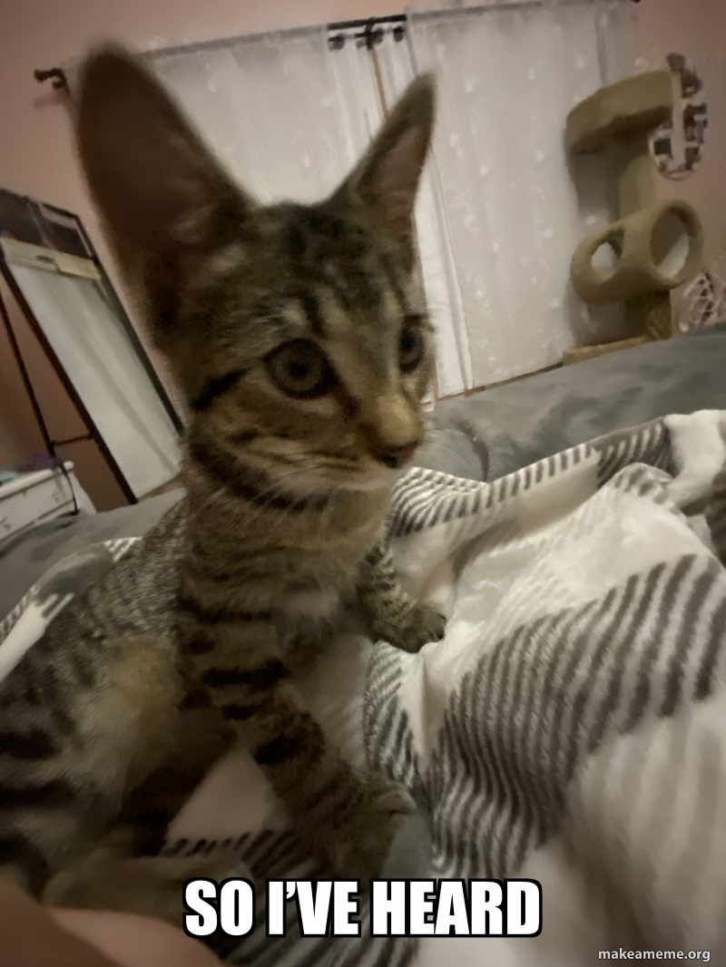SO I’VE HEARD Meme Generator