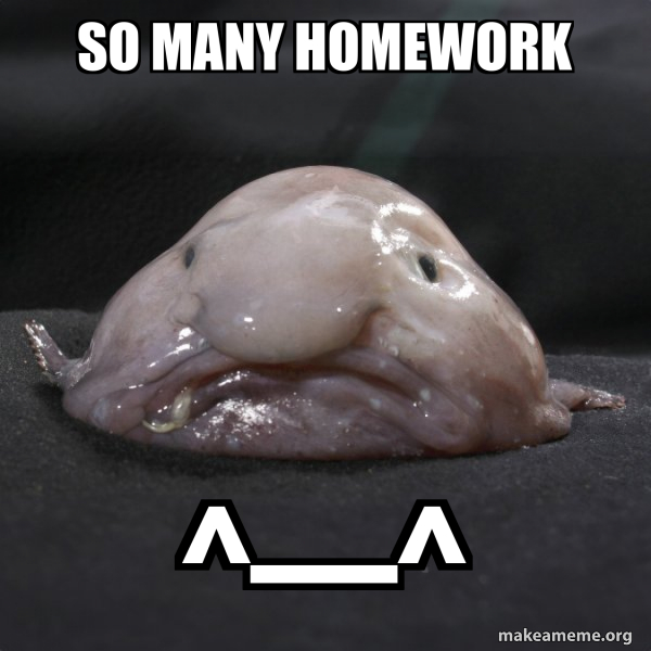So many homework ^—^ - Blobfish Meme Generator