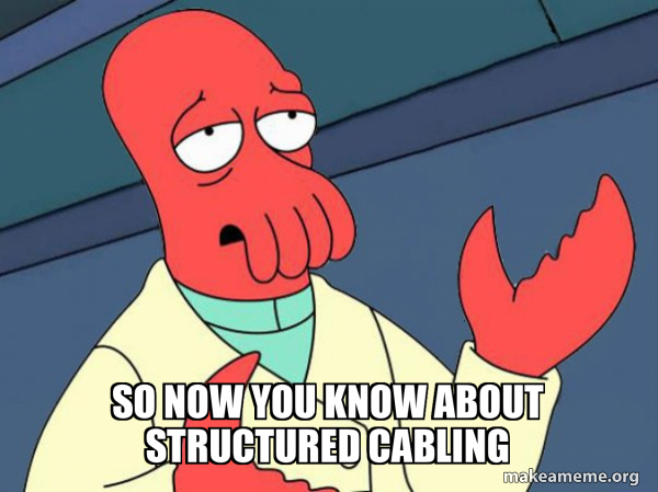 So now you know about structured cabling - Tricky Zoidberg Meme Generator