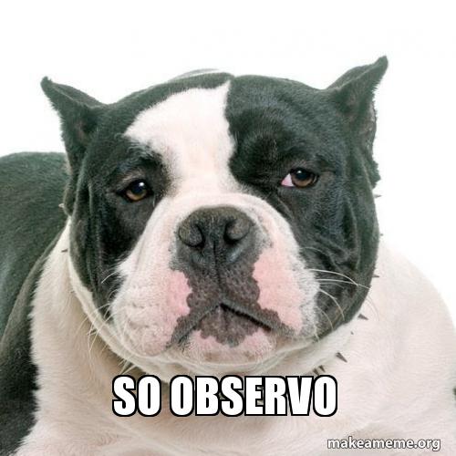 SO OBSERVO Meme Generator