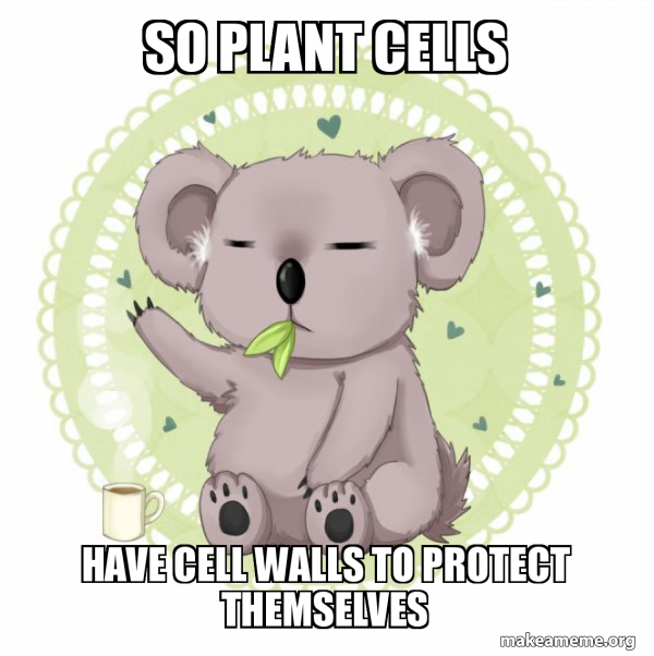 Animal Cell Memes Dogs Running On Empty Brain Cells 🤣🐶 NEW Funny