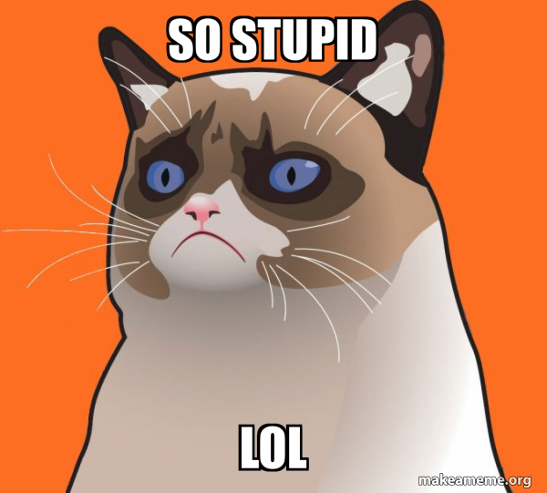 so stupid LOL - Cartoon Grumpy Cat Meme Generator