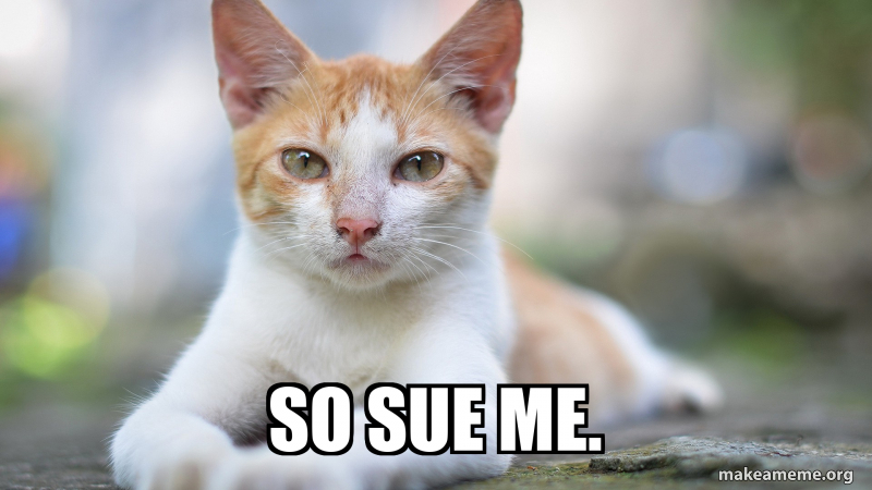 so sue me. Meme Generator