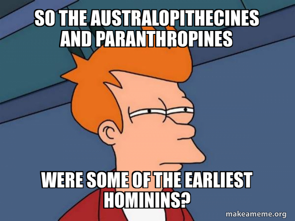 so the Australopithecines and Paranthropines were some of the earliest ...